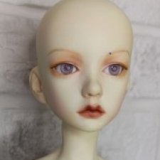 БЖД - Dollstown Amy на 13yrd теле купить в Шопике | Балашиха - 1365895