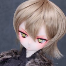Volks Dollfie Dream DDH-01 DWC Custom MDD Head / Шарнирные / Шопик - продать купить куклу ...