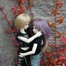 БЖД - Редкая bjd пара Bee-a\Too от Dream of Doll. купить в Шопике ...