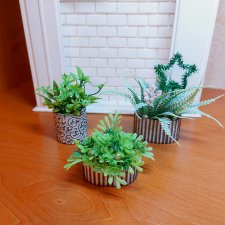 Лот из трёх комнатных растений для кукол от известного мастера Светланы ...