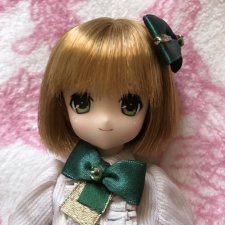 Шарнирные - Azone Maya купить в Шопике | Саратов - 950205